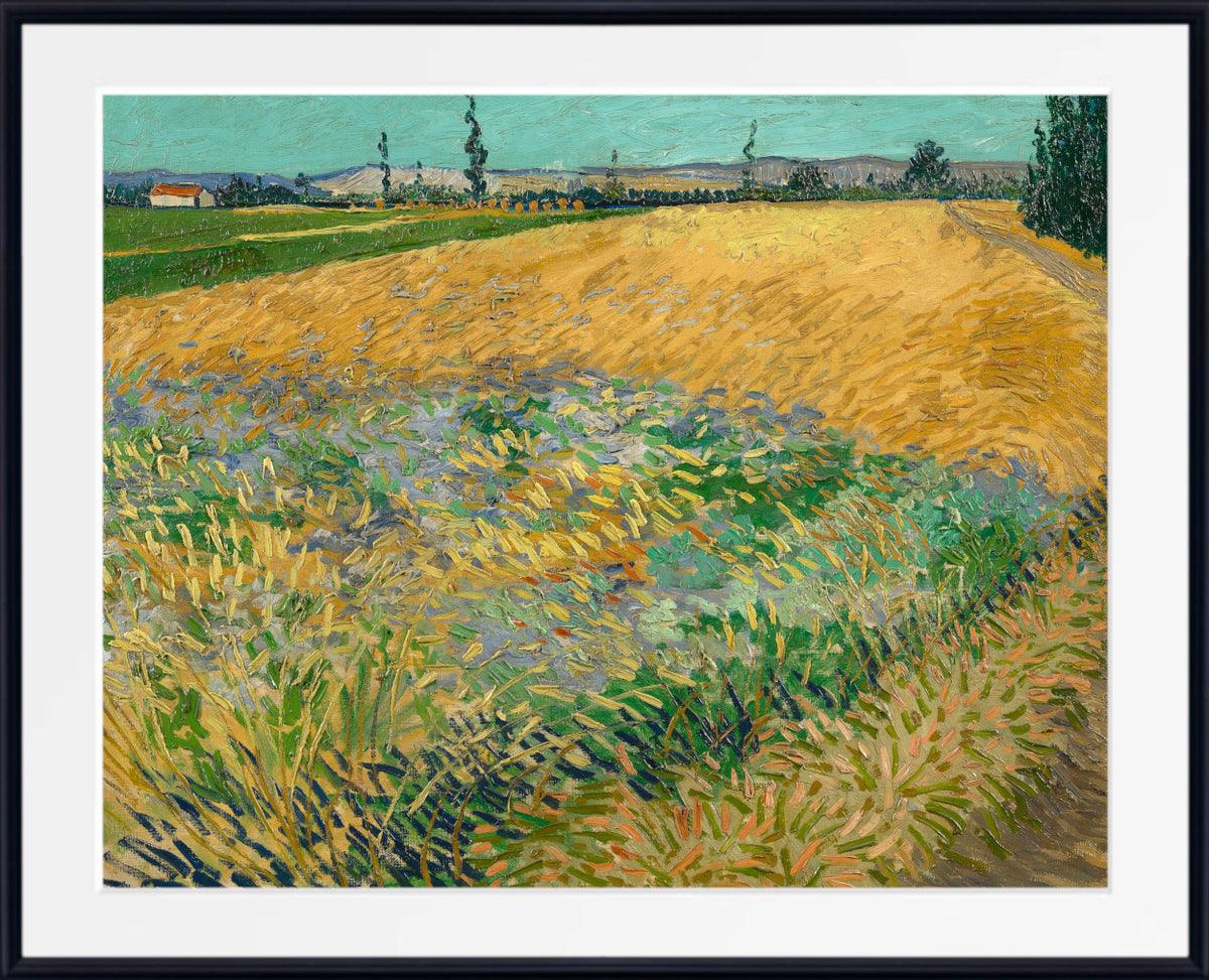 Wheatfield (1888) by Vincent van Gogh – GalleryThane