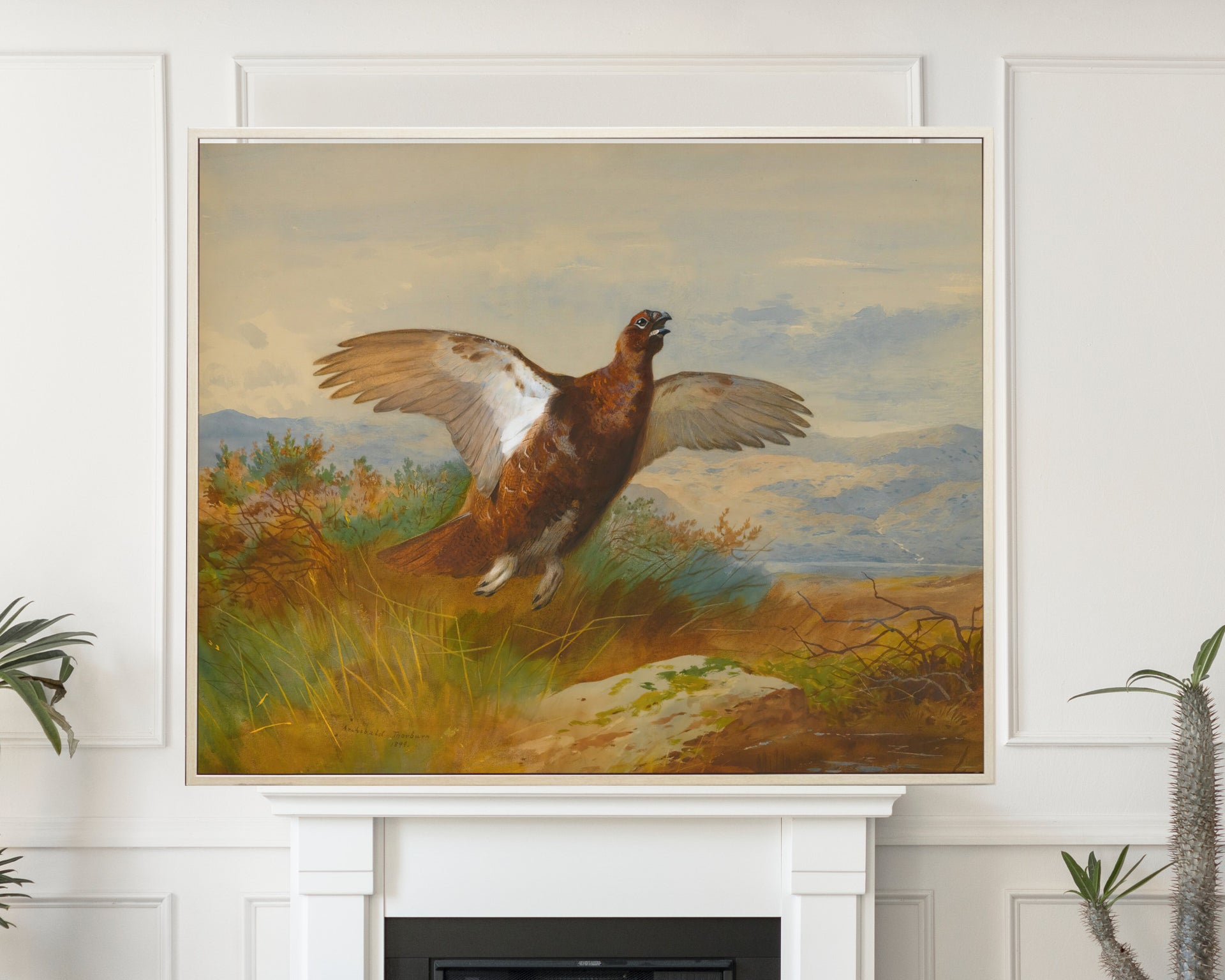 Red Grouse In Flight, Archibald Thorburn, Birds Print – GalleryThane