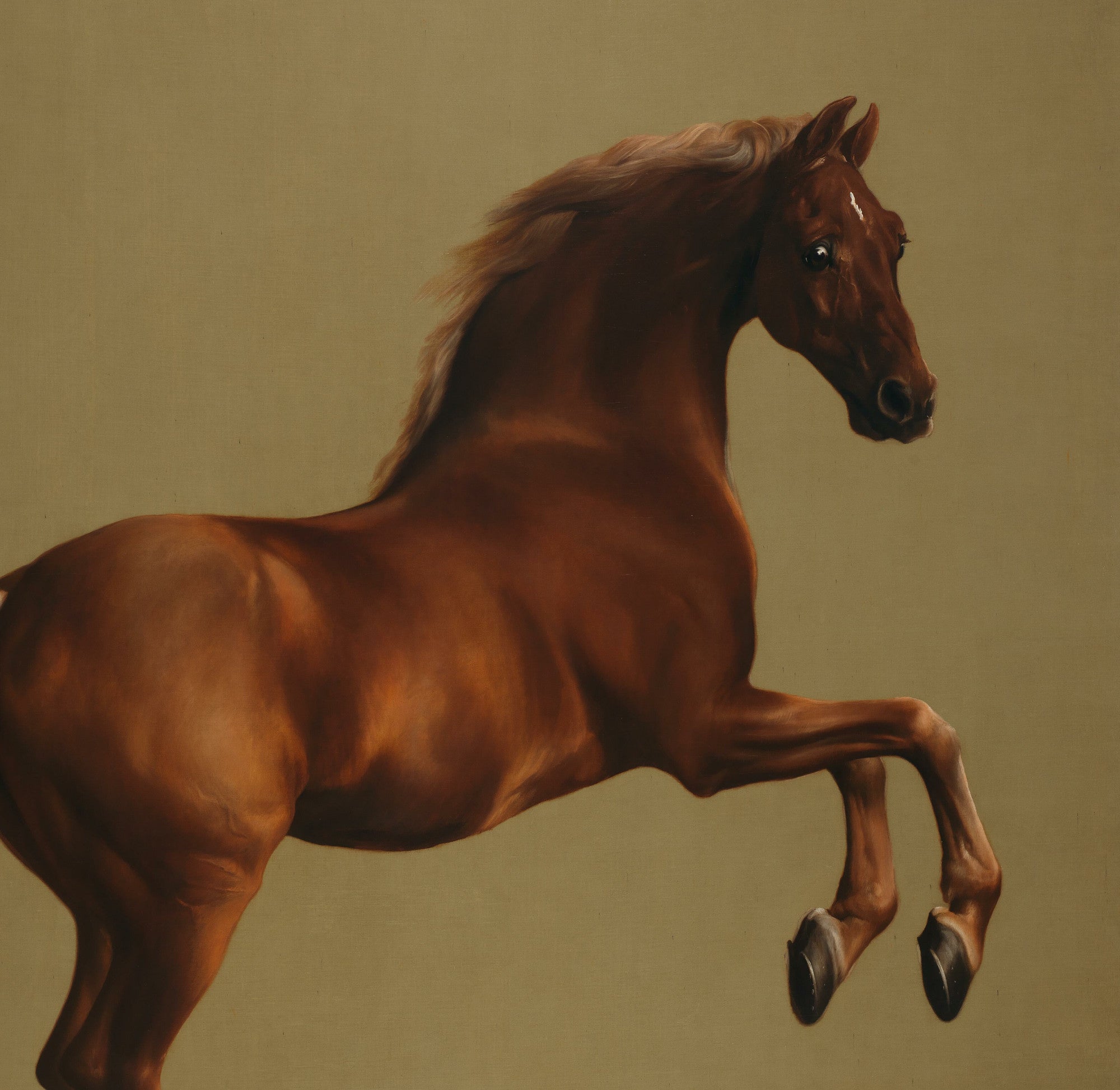 George Stubbs Fine Art Print, Whistlejacket – GalleryThane