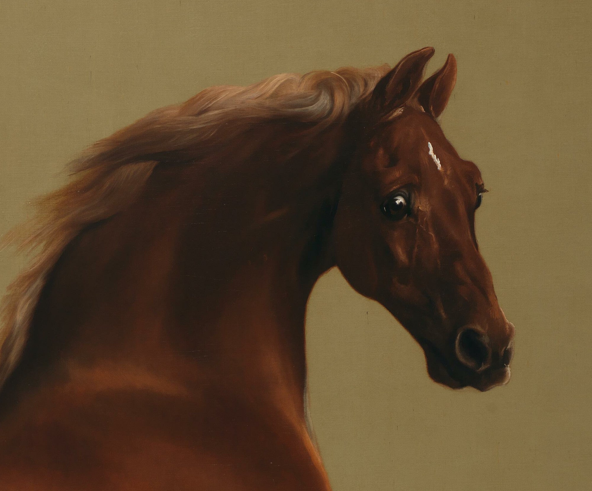 George Stubbs Fine Art Print, Whistlejacket – GalleryThane
