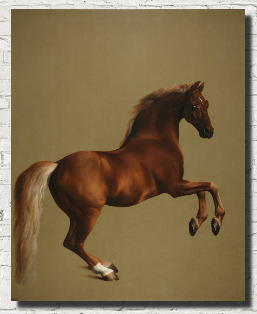 George Stubbs Fine Art Print, Whistlejacket – GalleryThane