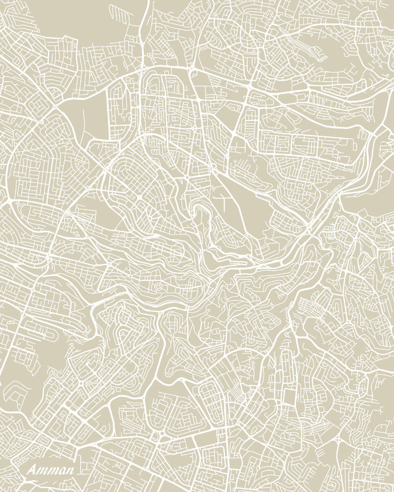 Amman City Street Map Print Feature Wall Art Poster – GalleryThane